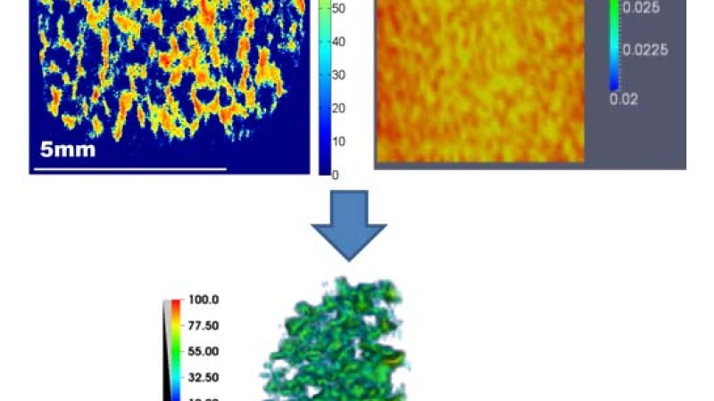 Neutron Imaging Reveals Lithium Distribution In Lithium Air Electrodes